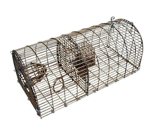 Nasse à rats - Grillage bronze - NONAME - Pickture