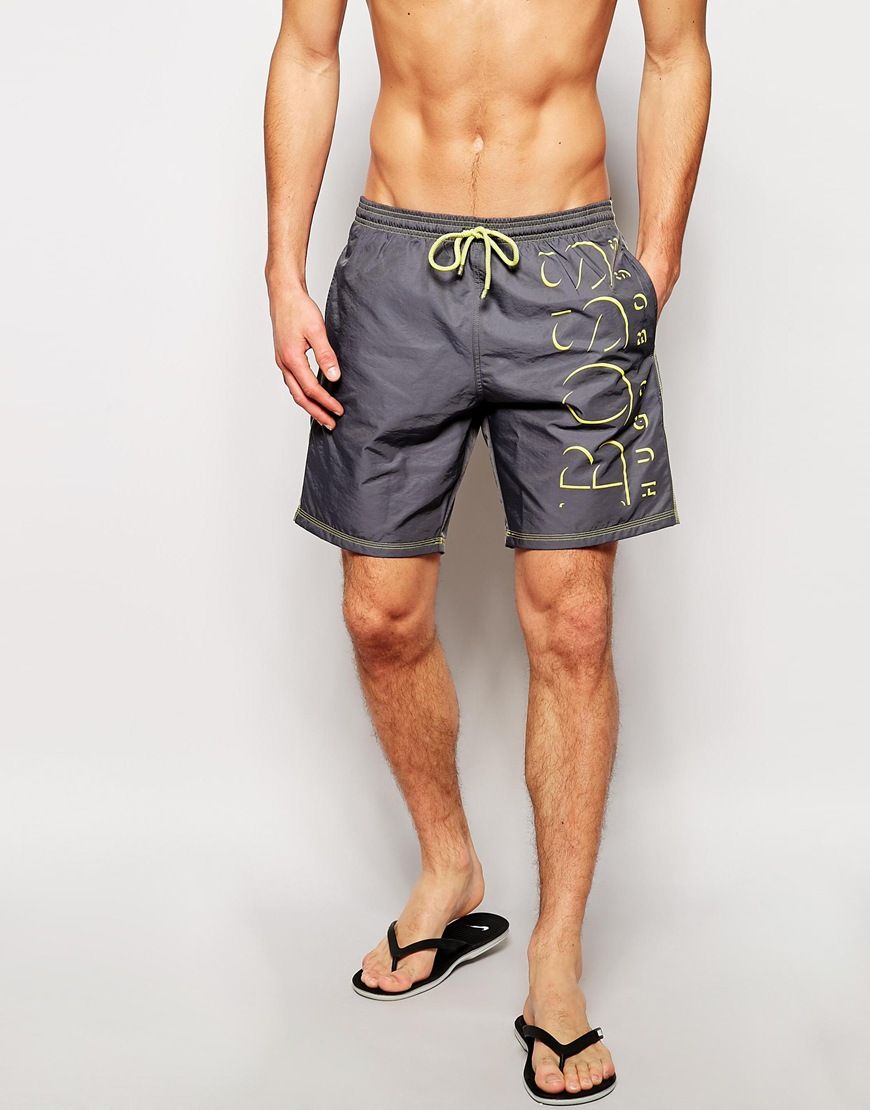 Hugo Boss - Killifish - Hugo Boss - Pickture